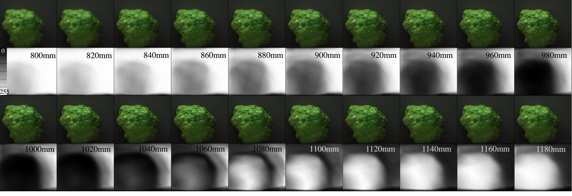 Neural Defocus Light Field Rendering